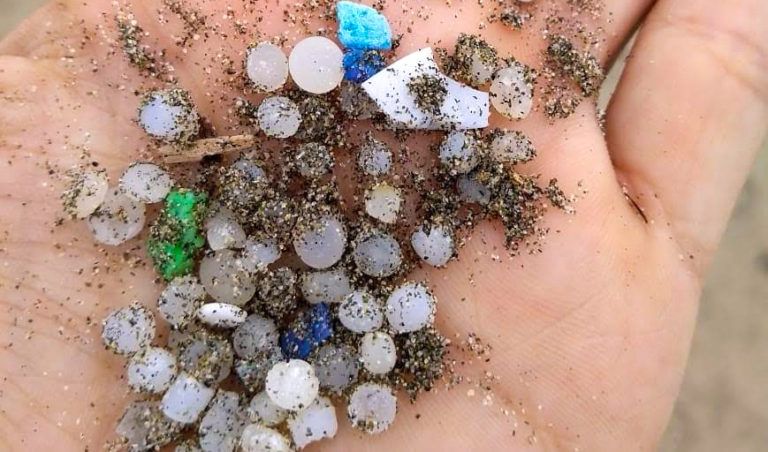 Microplásticos ¿Qué tanto daño hacen? - Mingas por el mar